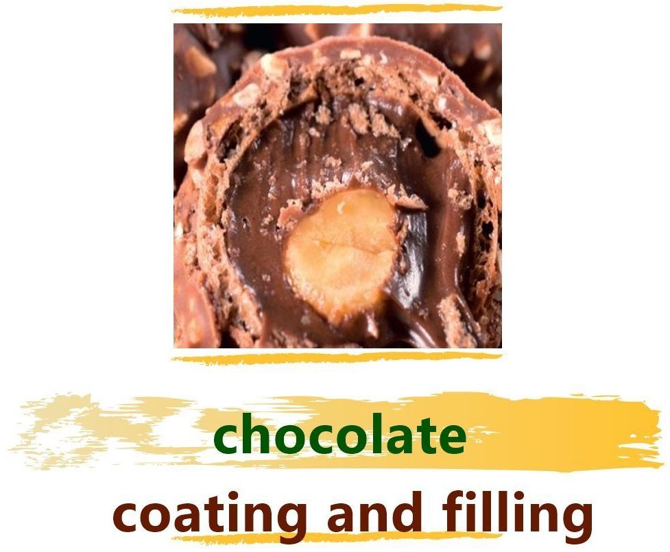 Coating Filling Chocolate For Pastry | Anorikan